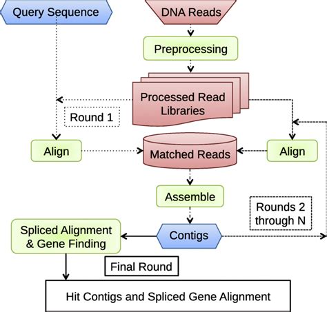 Srassembler Workflow The Pipeline Takes As Input A Query Sequence And