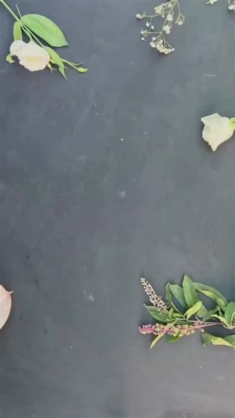 آموزش گل آرایی در مشهد کلاس گل آرایی در مشهد آموزشگاه گل آرایی در مشهد