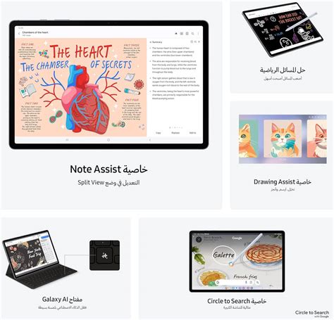 Samsung Galaxy Tab S Plus Tablet Wqxga Dynamic Amoled X Display Gb Ram Gb S