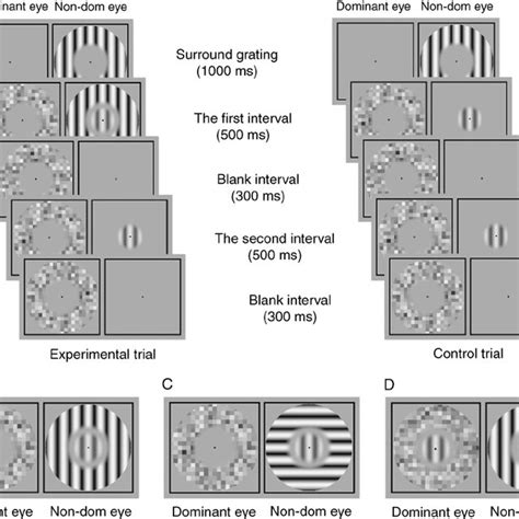 Schematic Of The Stimuli And Experimental Procedures A Sequence Of