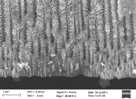 An Sem Picture Showing A Cross Section Of The Porous Silicon Membrane
