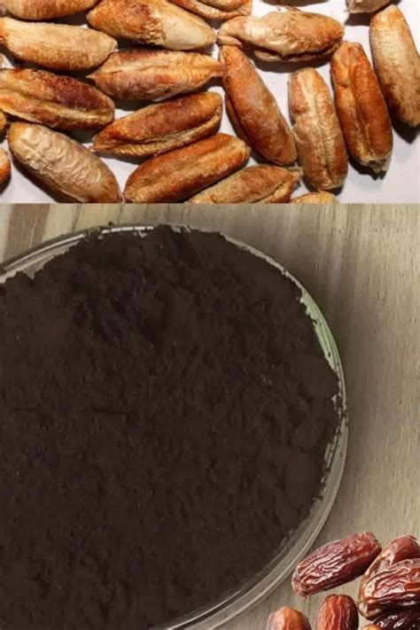 Funtime Ge გასართობი გვერდი მხოლოდ პოზიტივი