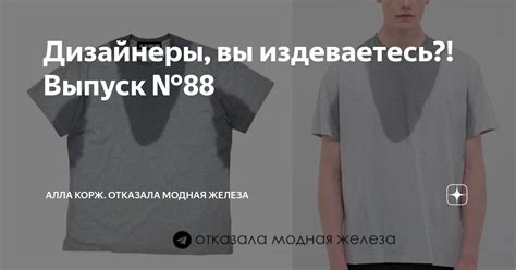 Дизайнеры вы издеваетесь Выпуск №88 Алла Корж Отказала модная железа Дзен