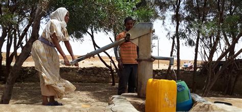 Supporting Community Based Projects Ecologi