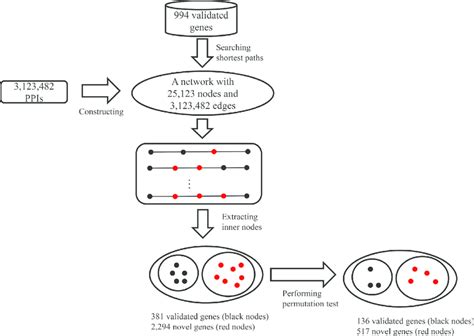 Procedures Of And Results Obtained Using The Shortest Path Based Method