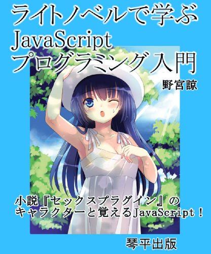 Amazon co jp ライトノベルで学ぶJavaScriptプログラミング入門 小説セックスプラグインのキャラクターと覚えるJavaScript eBook 野宮諒 本