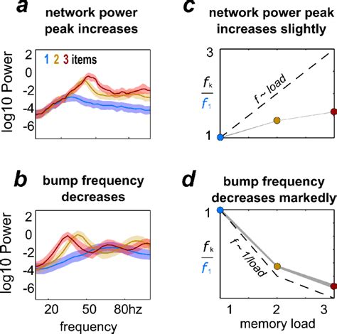 Load Modulation Of Network And Bump Oscillatory Dynamics Power