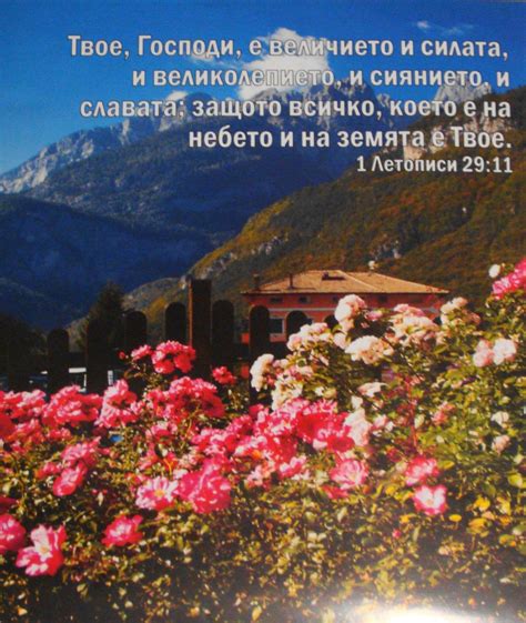 ЦАСД град Долни чифлик Home