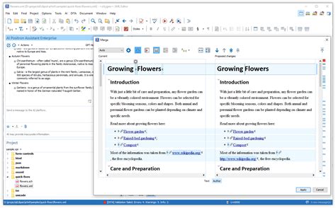 Whats New In Oxygen Xml Editor 271
