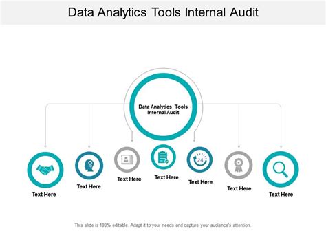 Data Analytics Tools Internal Audit Ppt Powerpoint Presentation Layouts Show Cpb PowerPoint
