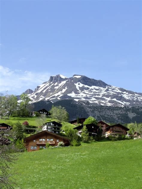 무료 이미지 눈이 내리는 바위 구름 하늘 근무 기간 등산 하이킹 소풍 맑은 공기 알프스 산맥 스위스 산악 지형 고지 언덕 역 자연 경관 잔디