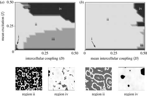 Effects Of Excitation And Coupling On Synchronization Behaviour In Download Scientific Diagram