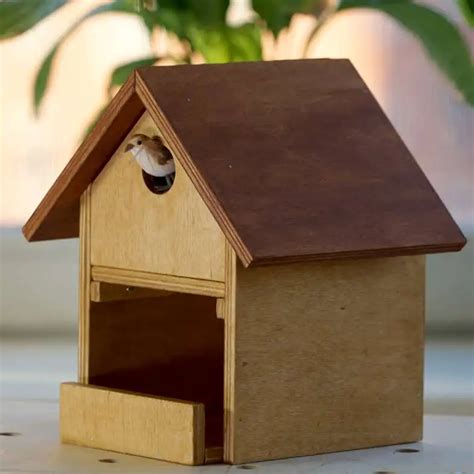 Best Birdhouses For Different Species A Complete Guide