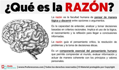Qué Es La Razón Definición De Razón