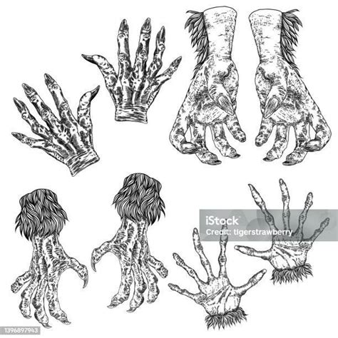 조각 몬스터 손 세트 좀비 늑대 인간 드래곤 또는 뱀파이어 팜 손 긴 손톱 공격 제스처에 벡터 공포 무서움에 대한 스톡 벡터 아트 및 기타 이미지 Istock