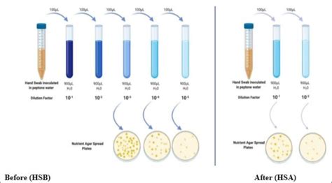 Serial Dilution Diagram