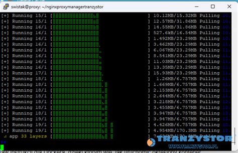 Nginx Proxy Manager Na Raspberry Pi Tranzystorpl Vortal Elektroniczny