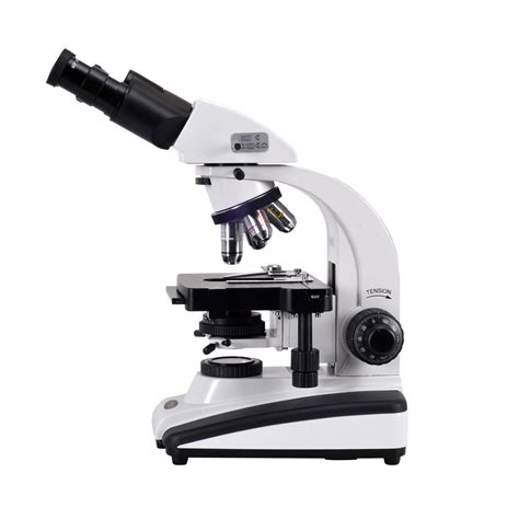 Microscope Png Image Microscope Png Images Png
