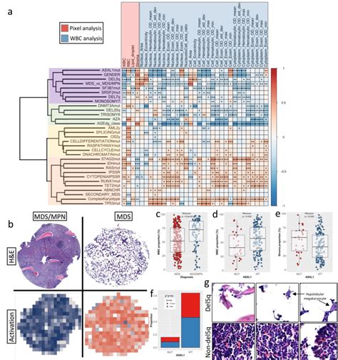Deconvolution Of Supervised Prediction Models A Correlation Matrix Download Scientific