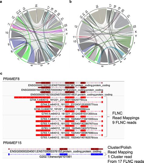 Gene And Transcript Read Swapping From Error Correction A Circos Plot Download Scientific