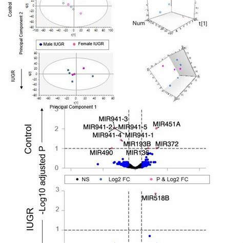 Sex Specic Mirna Sample Clustering And Differential Expression Between