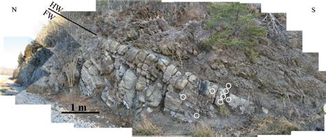 Figure 2 From Microstructures And Rheology Of A Limestone Shale Thrust
