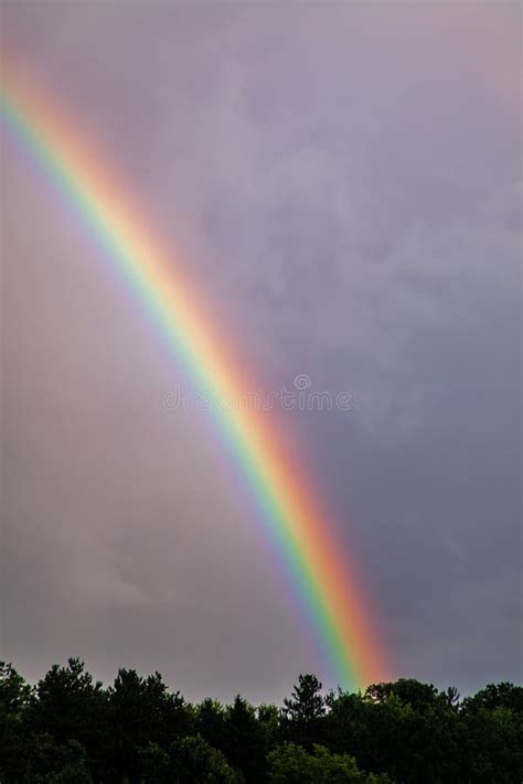 Rainbow With A Dark Sky And Trees Stock Image Image Of Landscape