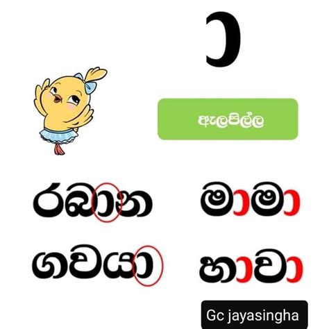 දැනුම් සයුර 👍සිංහල භාෂාවේ පිල්ලම් ටික බලාගමු