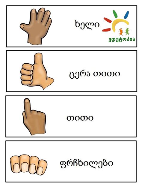 👫 ჩემი სხეული 🦰👣👤🦵🦶👂👃👁 👉თვალსაჩინო ედუტოპია • Edutopia Facebook