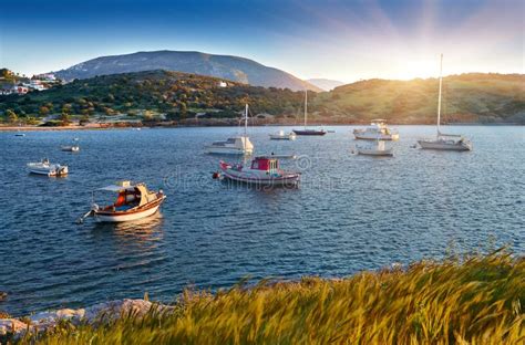 Grka Wybrze E Obraz Stock Obraz Z O Onej Z Grecja Kwiat