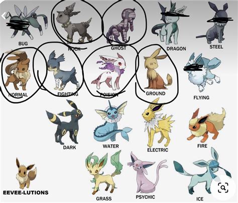 Eevee Evolution For Every Type Pokemon En Español Evoluciones Eevee