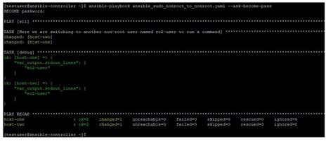 Ansible Sudo How Does Ansible Sudo Work Examples