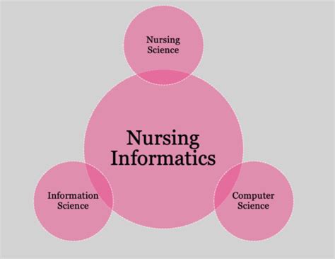 Nursing Informatics Introduction To Professional Nursing Flashcards