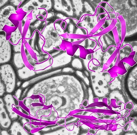 Over One Year Of AlphaFold Free For Everyone To Use And Of The