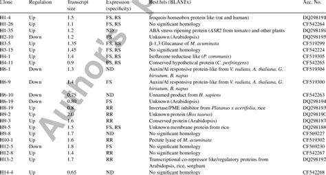 Transcript Sizes And Sequence Homology Of Various Genes Isolated By