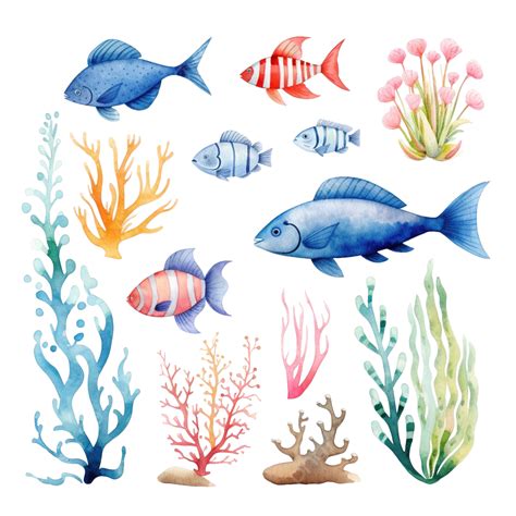 Under The Sea Watercolor Clipart Png Summer Watercolor Summer Clipart