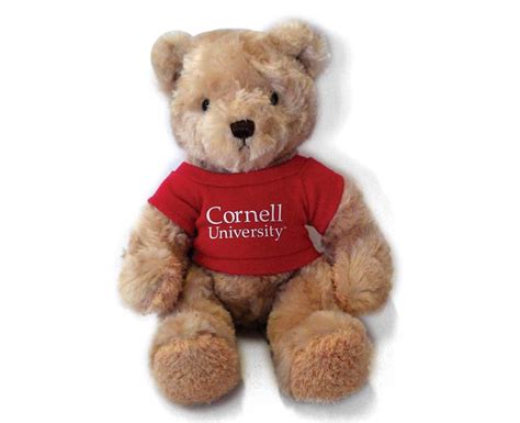 Cornell Honey Bear Bear Necessities Online Store