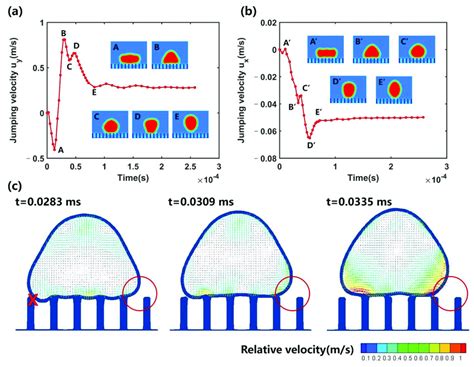 Time Evolution Of Velocity And Morphology During The Coalescence