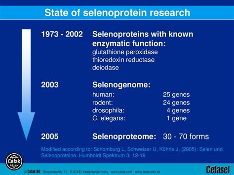 PPT An Essential Trace Element PowerPoint Presentation Free Download ID 2952620
