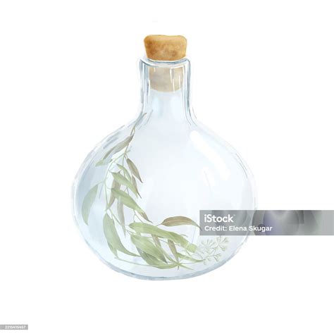 안에 허브가 들어있는 투명한 유리 플라스크 수채화 삽화 흰색 배경에 격리된 마개가 있는 둥근 병입니다 아로마 테라피 실험 연금술 마술 및 요술을 위해 개인 장식품에 대한