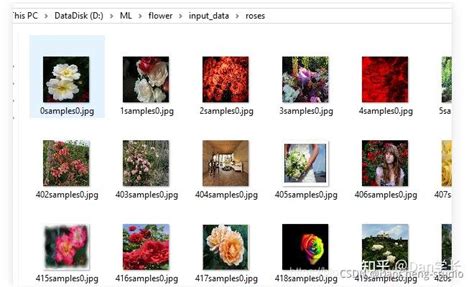 毕设 基于深度学习卷积神经网络的花卉识别 知乎