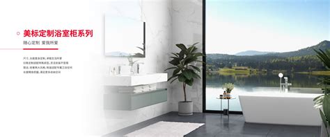 美标智能马桶、美标浴室柜、美标淋浴柱年度新品 美标中国