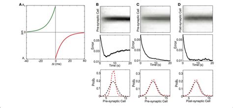 Balanced Spike Timing Dependent Plasticity Stdp Learns Conditional Download Scientific