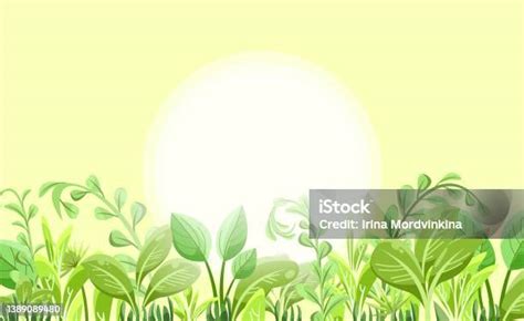 열대 허브와 관목 정글 초원 야자수는 나무와 좋은 여름 날씨를 촬영합니다 재미있는 만화 스타일 따뜻한 여름 태양 녹색 시골 풍경 벡터 관광에 대한 스톡 벡터 아트 및 기타