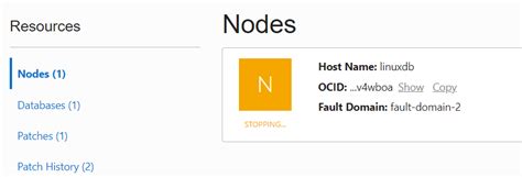 Installing Apex 191 On A 19c Multitenant Database Running In Oracle