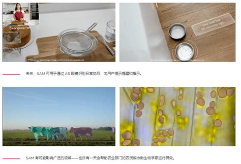 Meta发布segment Anything 模型和segment Anything 10 亿掩码数据集，帮助研究人员进行计算机视觉和对象识别