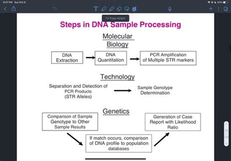 Forensics DNA Flashcards Quizlet Forensics DNA Flashcards Quizlet