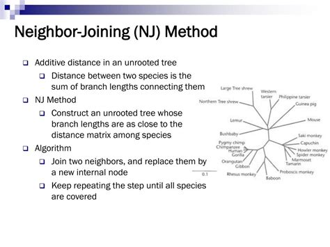 Ppt Tree Building Methods Distance Vs Char Powerpoint Presentation