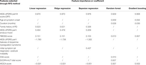 The Feature Importance Or Coefficient Of Features Selected Through Rfe