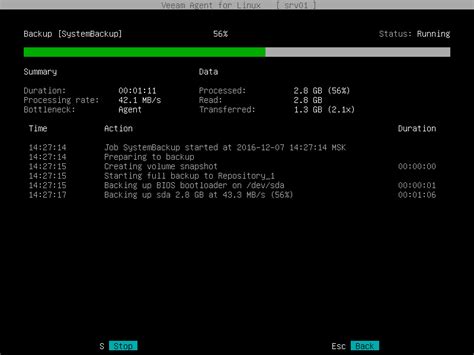 Viewing Real Time Job Session Statistics Veeam Agent For Linux User Guide